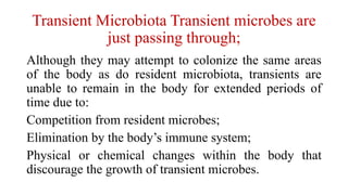 Lesson 4.pptx | Dental Health | Diseases and Conditions