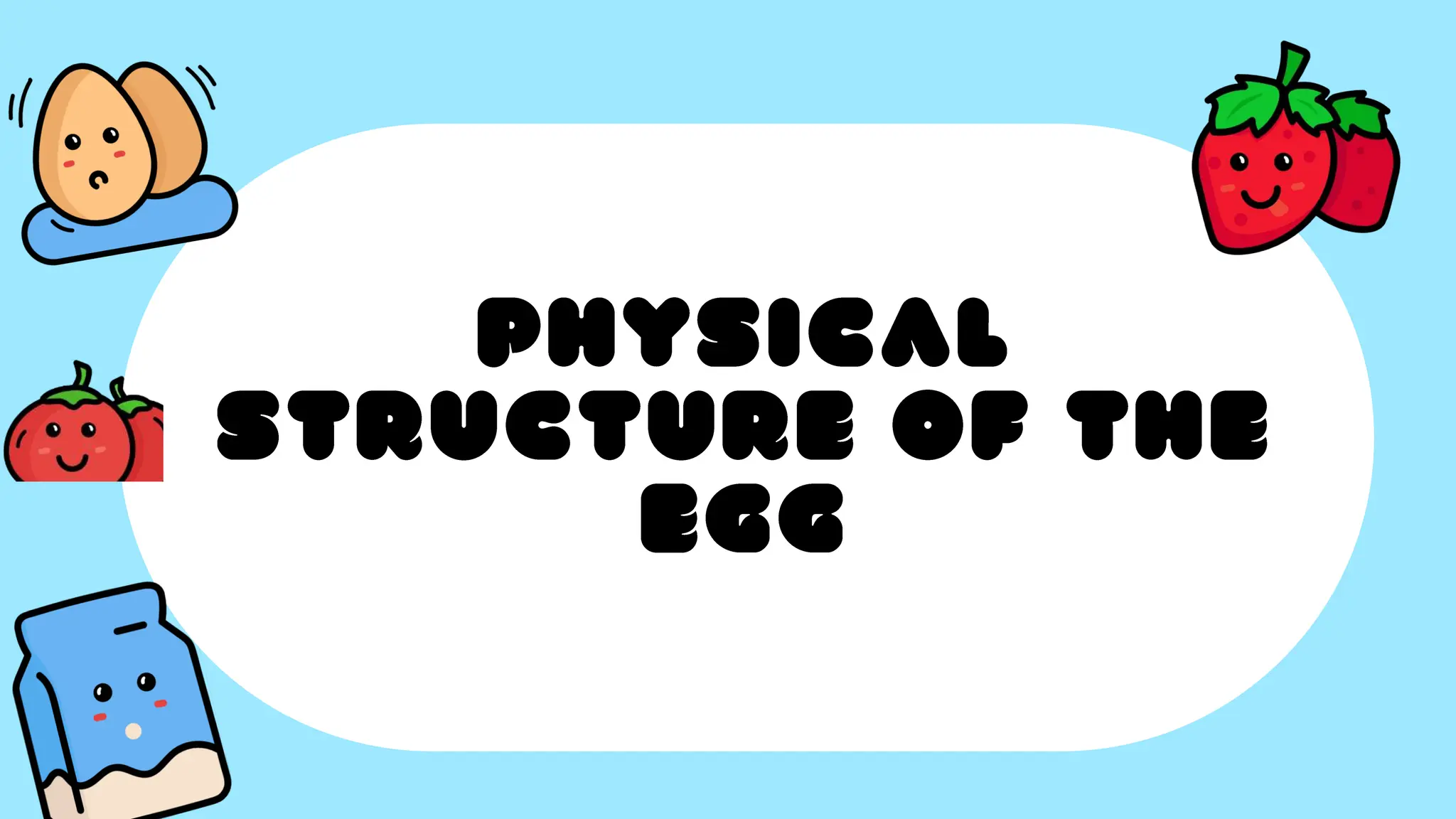 physical structure of eggs.pptx