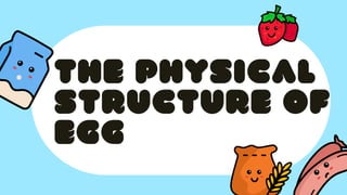physical structure of eggs.pptx