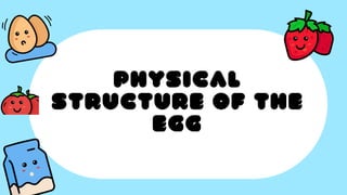 physical structure of eggs.pptx