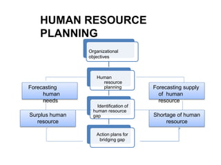 Lesson 3.pptx HUMAN RESOURCE MANAGEMENT | PPTX