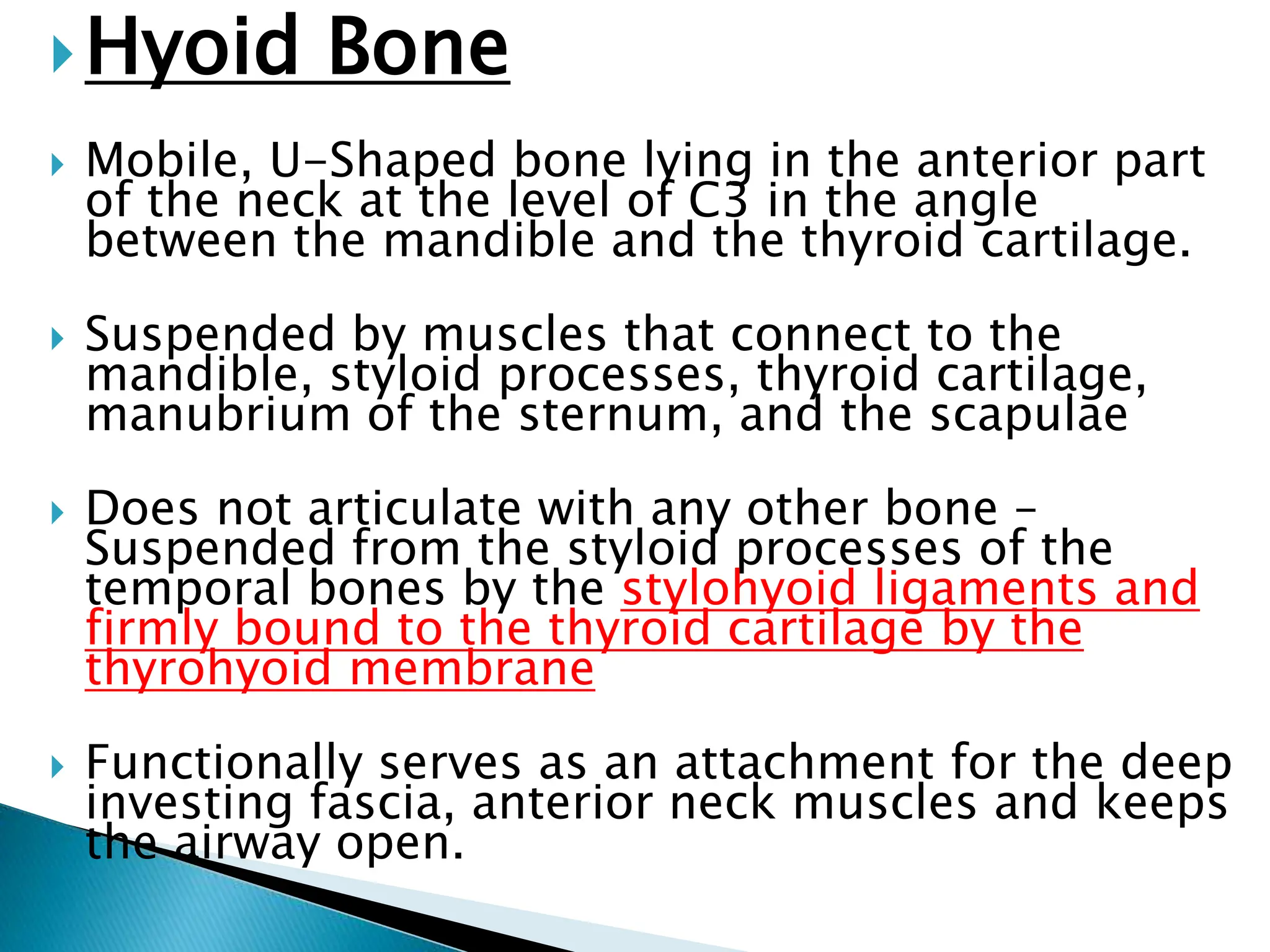 Musculoskeletal Anatomy: Lesson 3. Neck.pptx