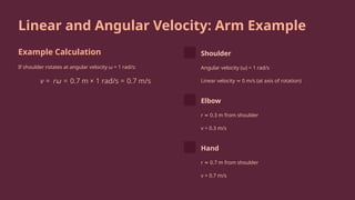 Connecting Linear and Angular Quantities in Human Movement.pptx