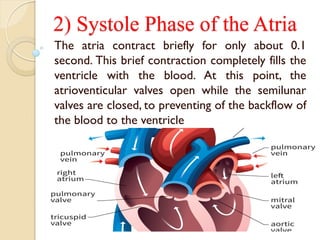 Lesson 3.pdf The cardiac Cycle, Hear Sound and Blood Pressure | PDF