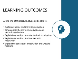 Understanding Intrinsic and Extrinsic Motivation: Key Factors and ...