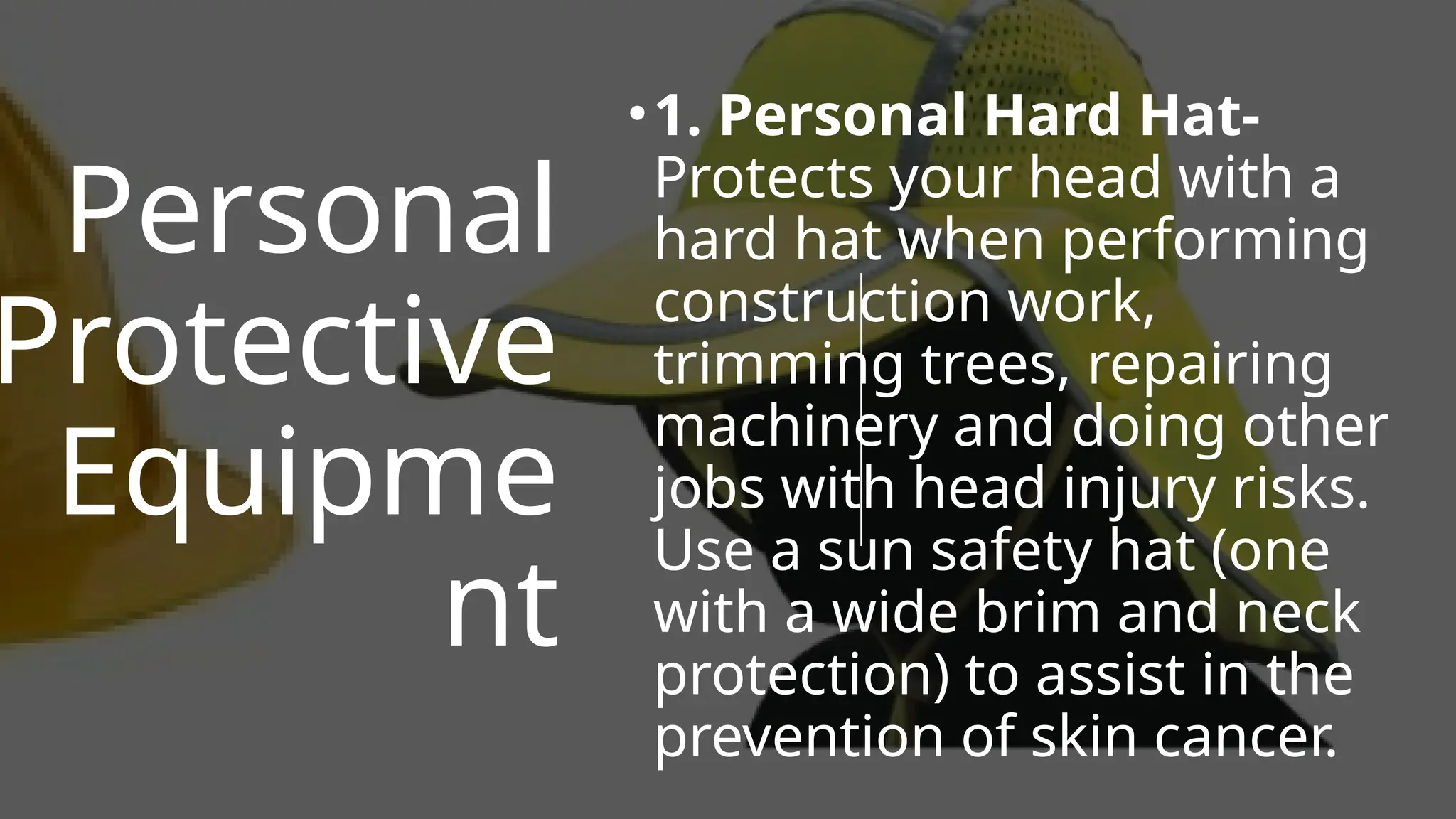 Lesson 3-4 Use of PPE in Agricultural Crop.pptx