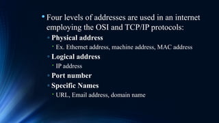 Physical Layer and Levels of addressing in Network | PPTX