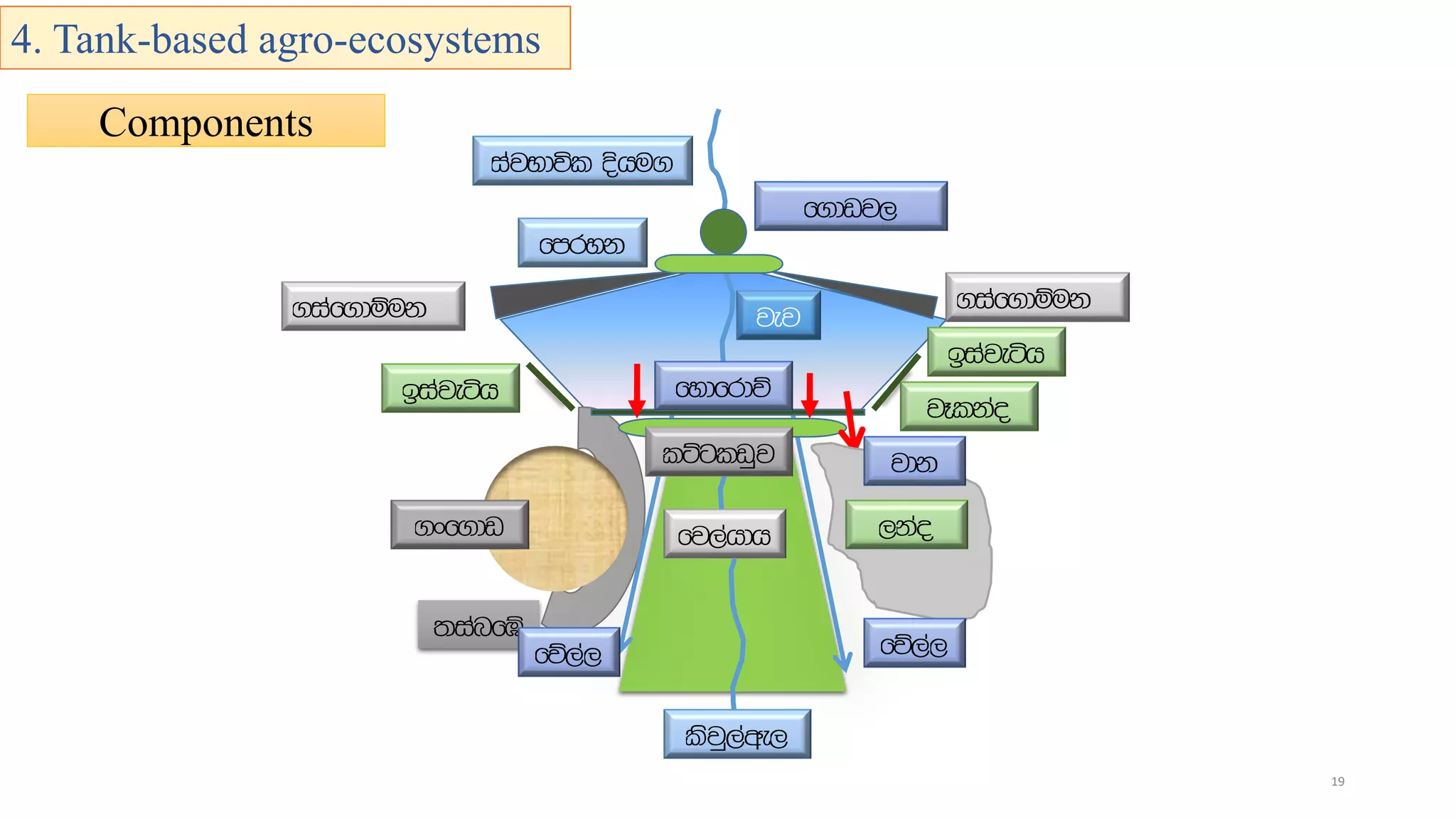 Lesson 3 agricultural ecosystem of tank cascades | PPT