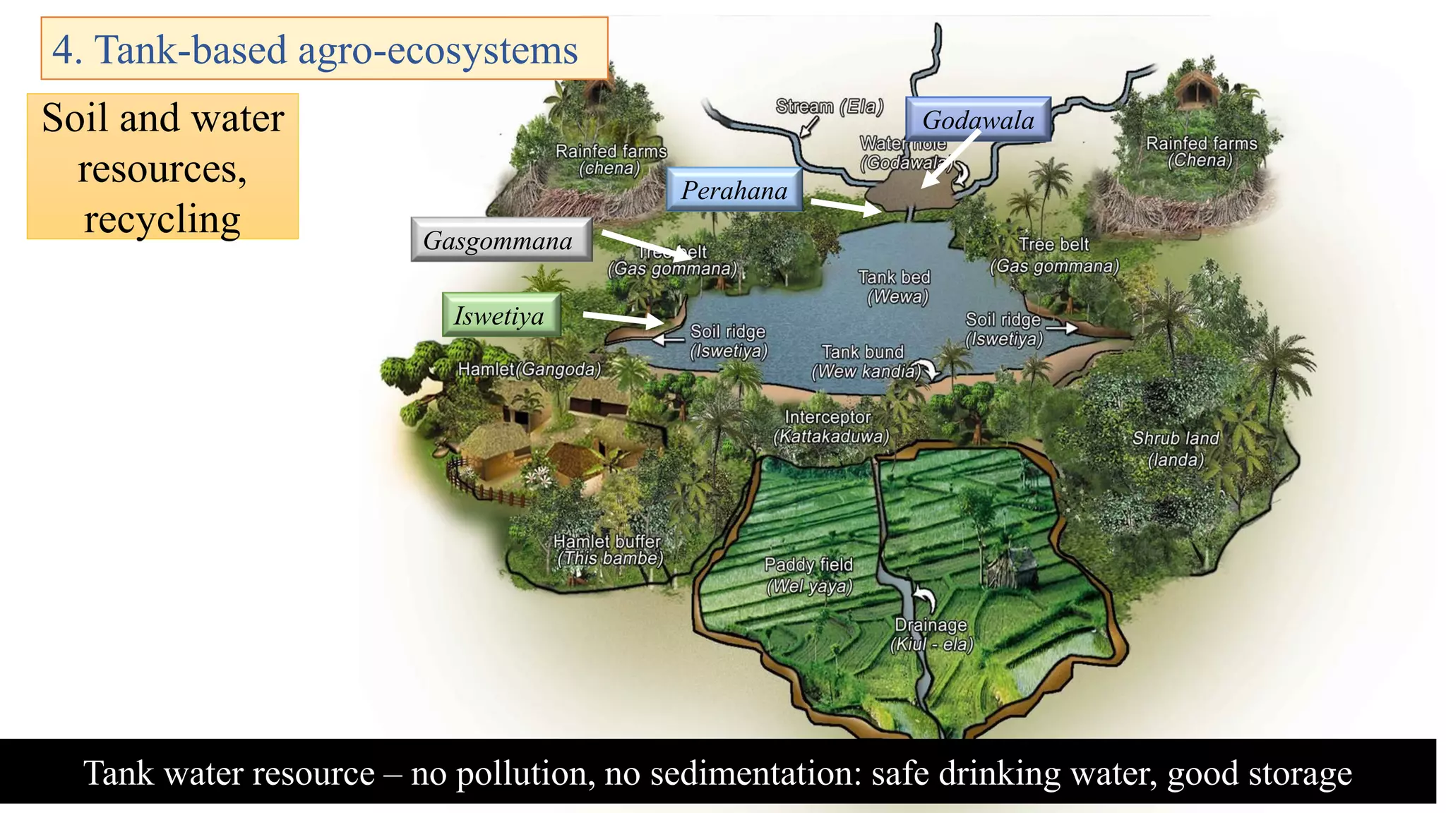 Lesson 3 agricultural ecosystem of tank cascades | PPT