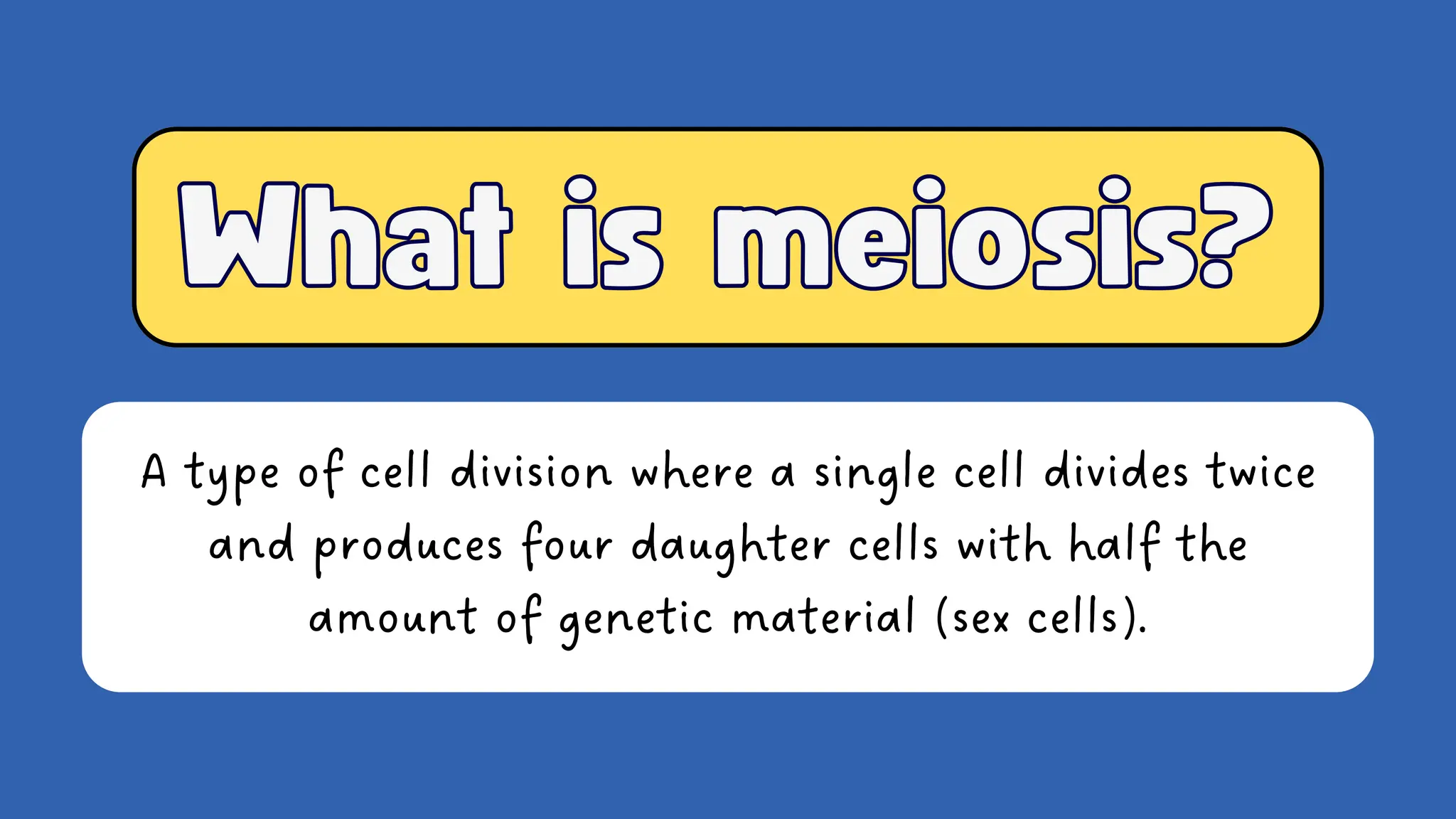 LESSON 3- ---CELL CYCLE--- (MEIOSIS).pdf