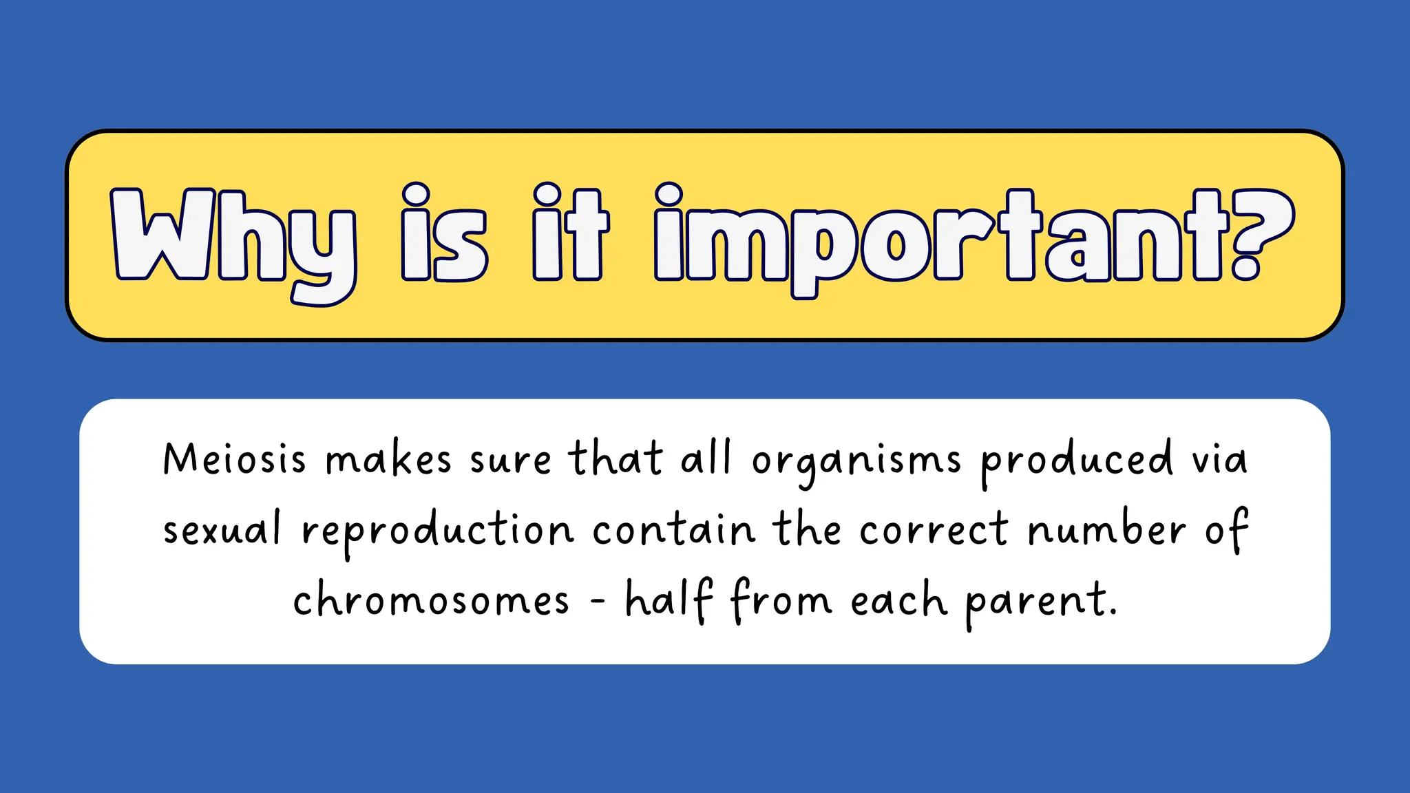 LESSON 3- ---CELL CYCLE--- (MEIOSIS).pdf