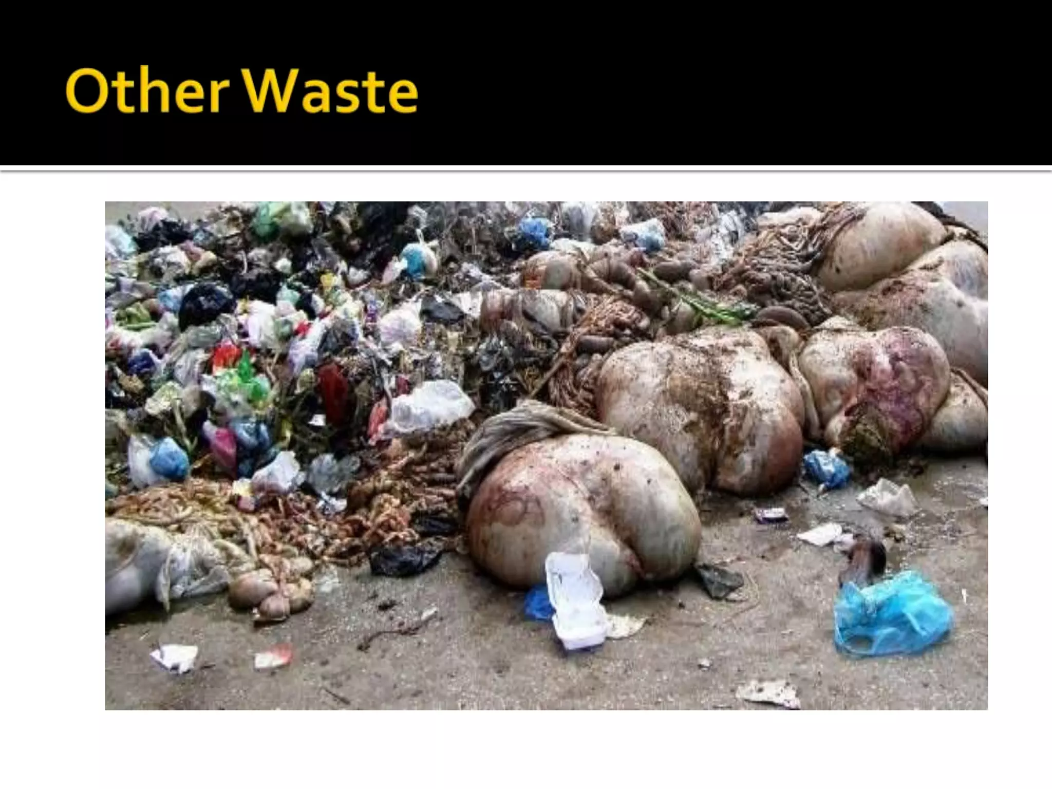 Lesson 3 decaying materials | PPTX