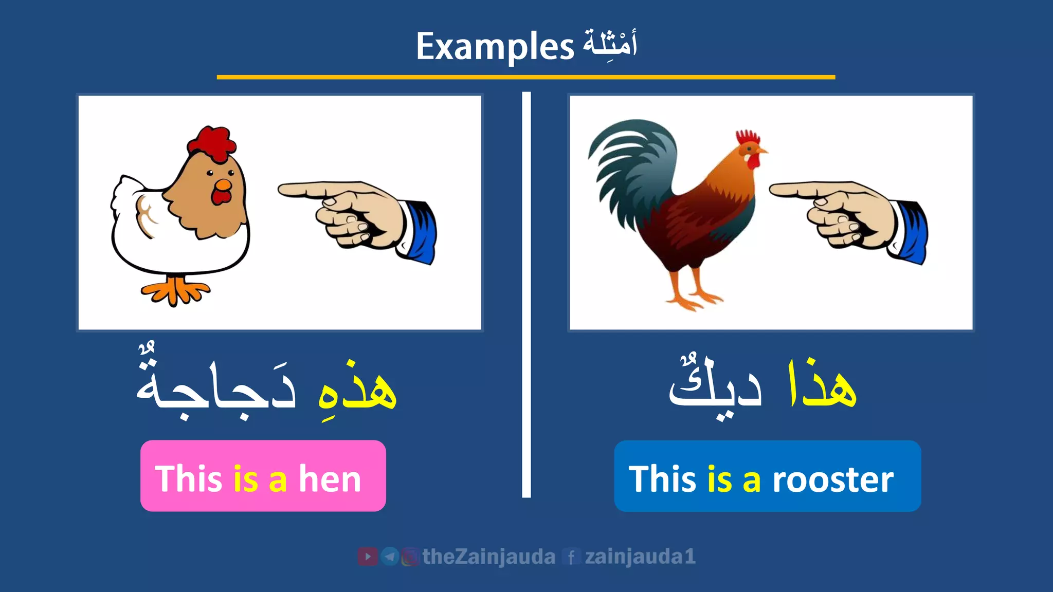 Lesson 3- 'This' and 'What' in Arabic | PDF