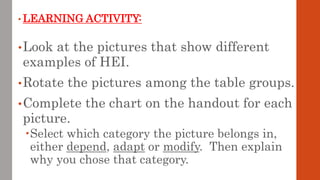 Adapt, Depend, Modify | PPTX