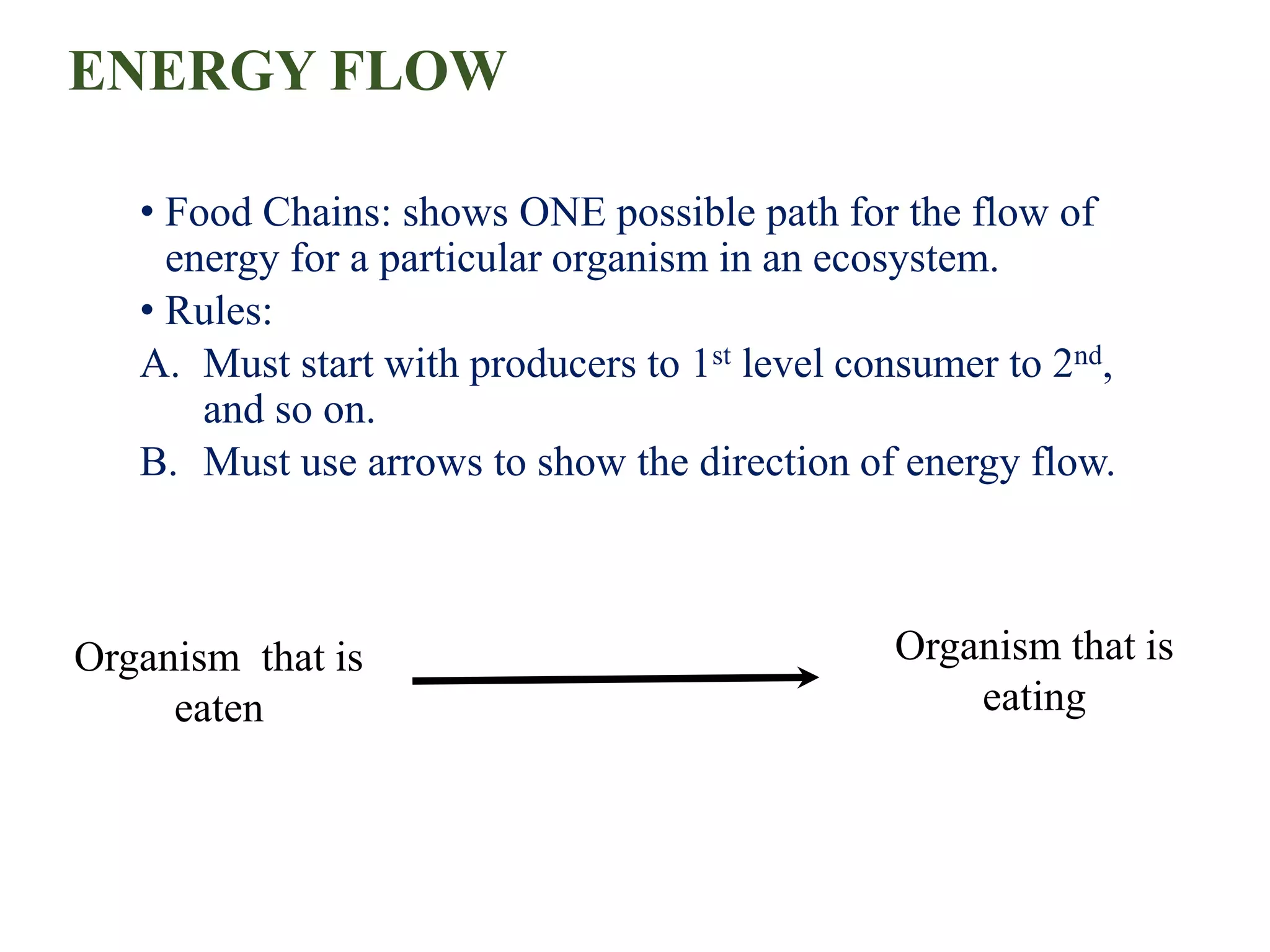 Lesson 3 ecosystems and energy flow | PDF