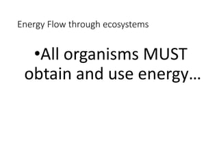 Lesson 3 ecosystems and energy flow | PDF