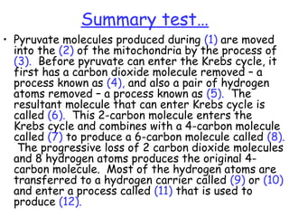 Lesson 3 glycolysis and atp synthesis | PPT