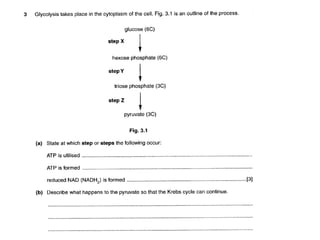 Lesson 3 glycolysis and atp synthesis | PPT