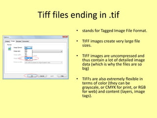Lesson 3 graphics types | PPT