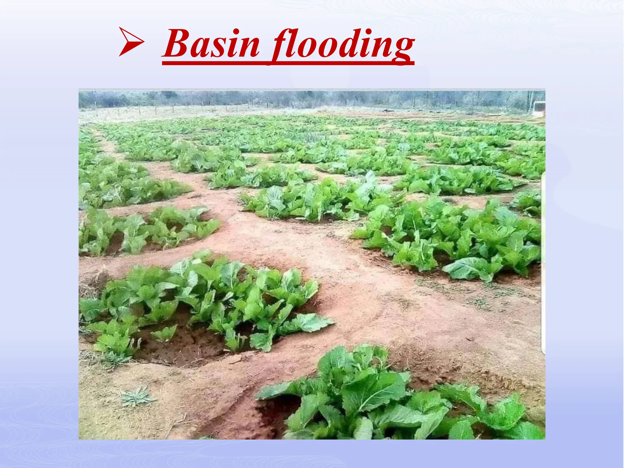 Lesson 3 - Irrigation grade 8 agric.pptx