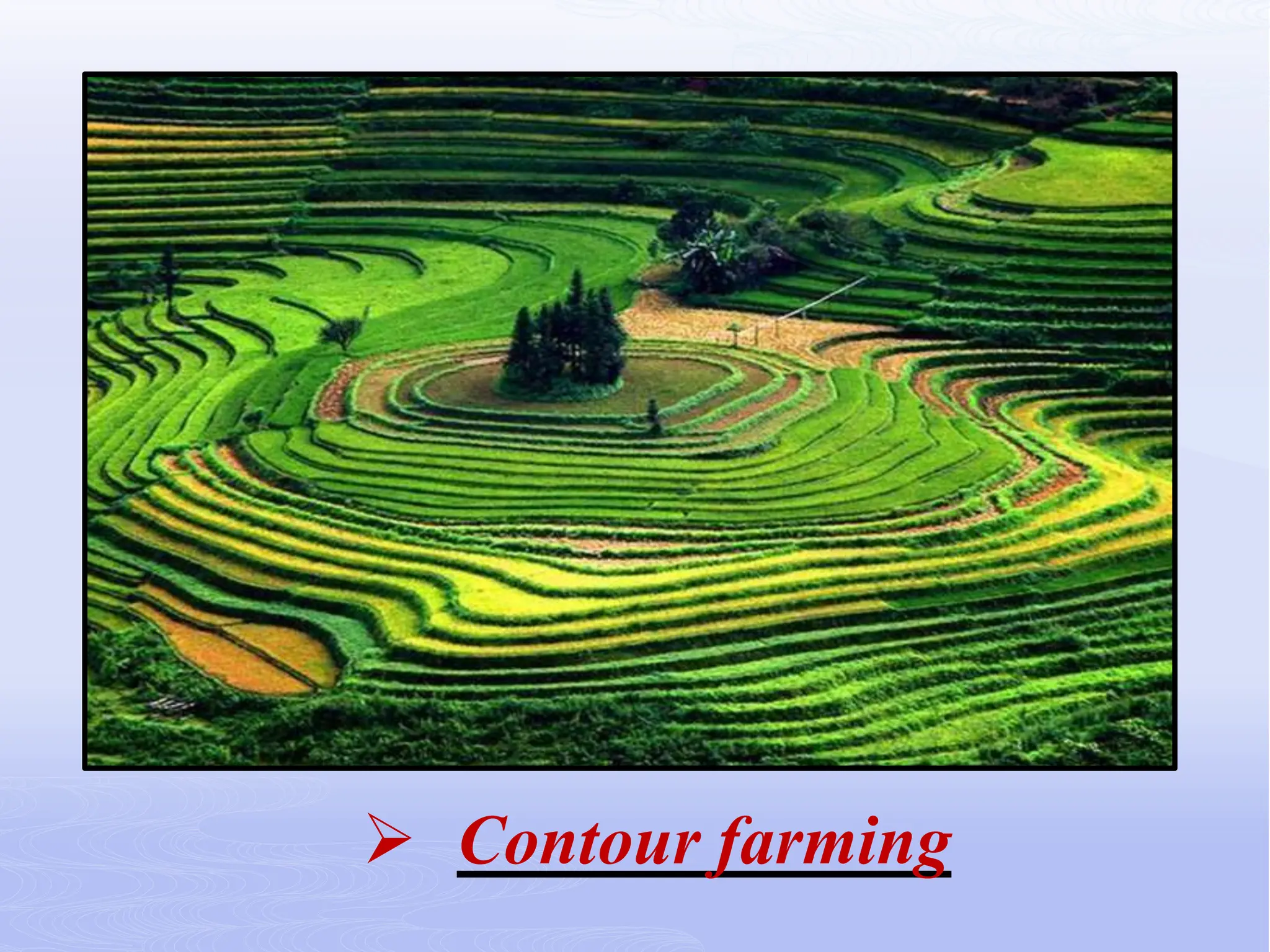 Lesson 3 - Irrigation grade 8 agric.pptx