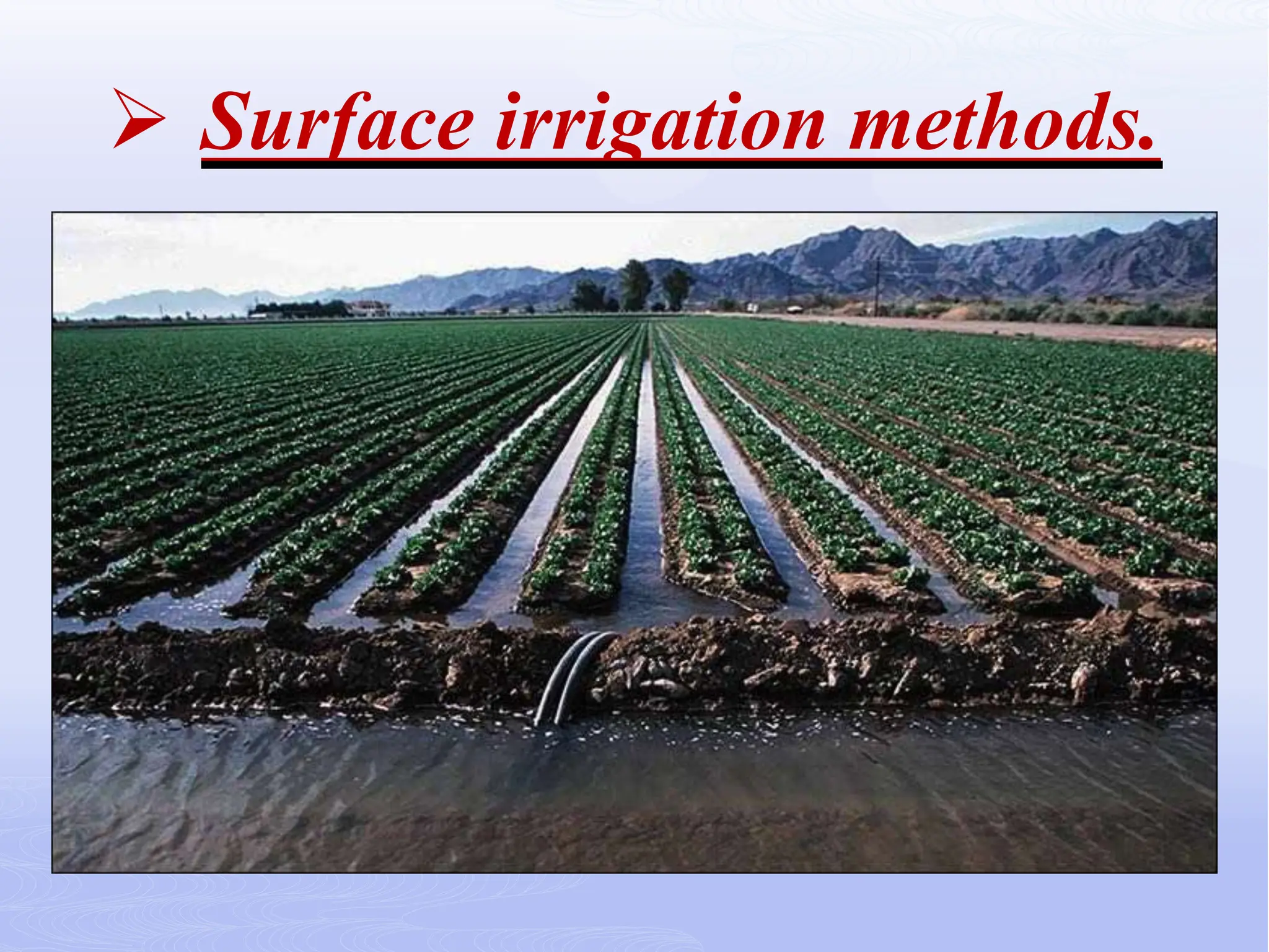 Lesson 3 - Irrigation grade 8 agric.pptx