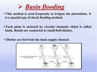 Lesson 3 - Irrigation grade 8 agric.pptx