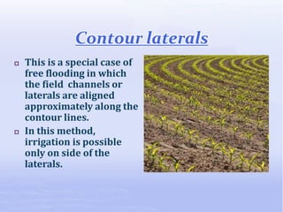 Lesson 3 - Irrigation grade 8 agric.pptx