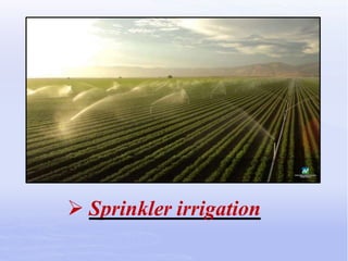 Lesson 3 - Irrigation grade 8 agric.pptx