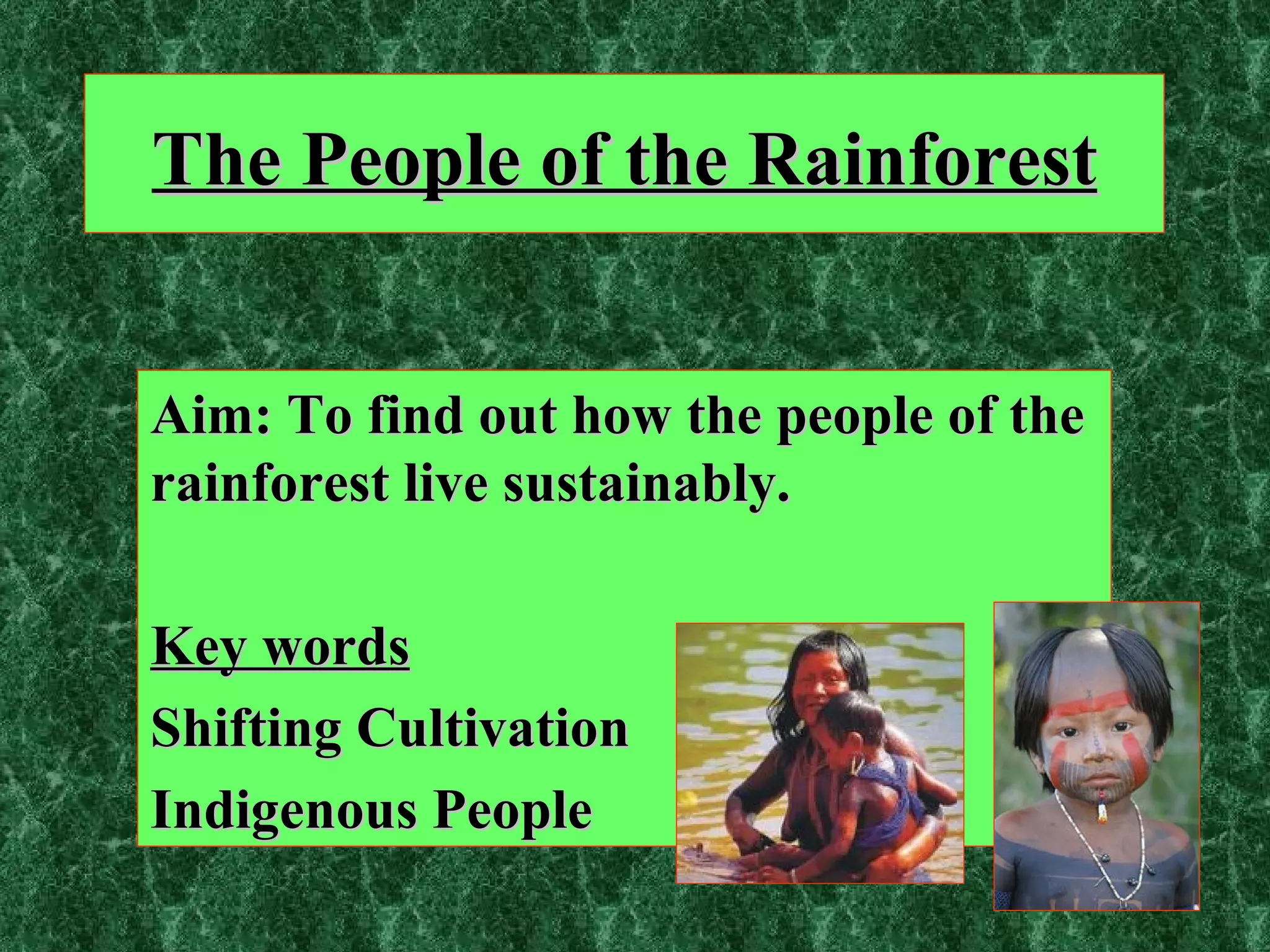 Lesson 3 Kayapo And Shifting Cultivation | PPT