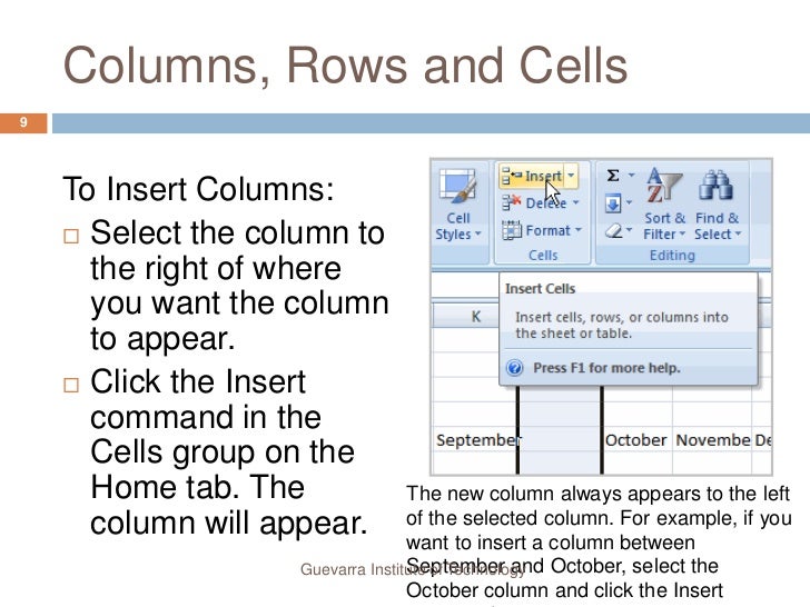 Lesson3 Modifying Columns Rows And Cells