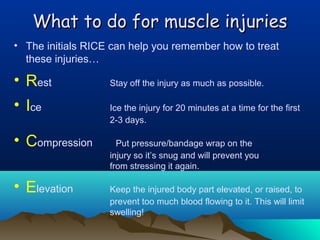 Lesson 3 - Muscles | PPT