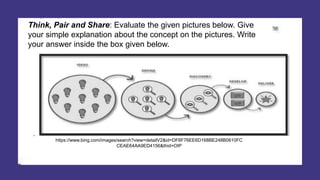 Lesson 3-Parts of a whole and emerging patterns.pptx
