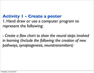 Lesson 3 phases of neural dvelopment | PDF
