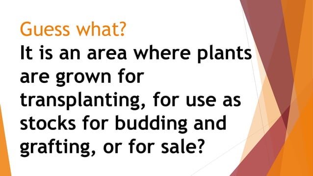 Lesson 3-Plant Nursery.pptx