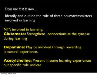 Lesson 3 plasticity rewiring of the brain 2013 | PPT | Free Download