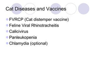 Lesson 3 - Preventive Health Programs.ppt