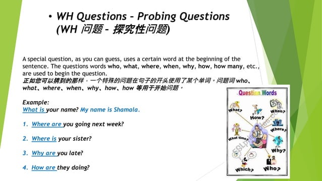 Lesson 3- Question Type in English Grammar | PPT