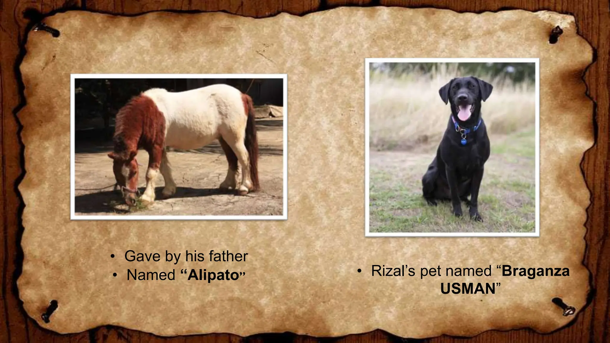 lesson 3-RIZAL'S LIFE FAMILY, CHILDHOOD, EARLY EDUCATION (1).pptx