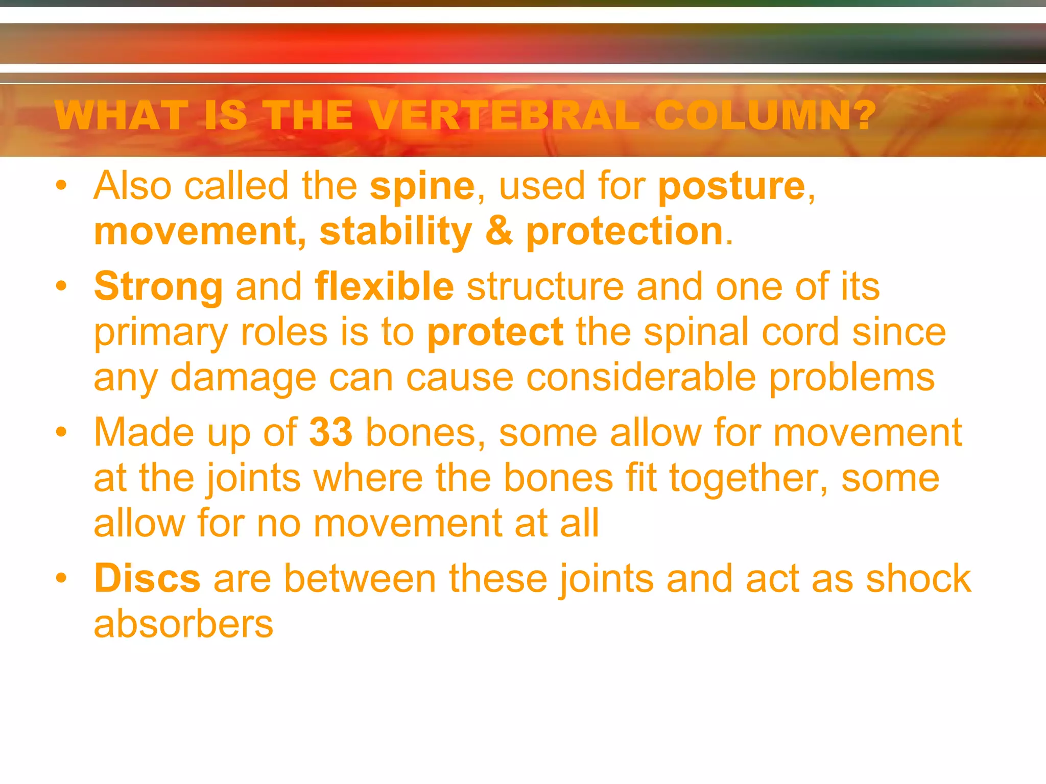 Lesson 3 skeletal system | PPT
