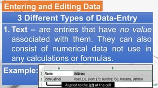 Learning MS Excel Application and skills.pptx