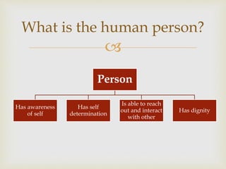 Lesson 3 the human as an embodied spirit | PPTX