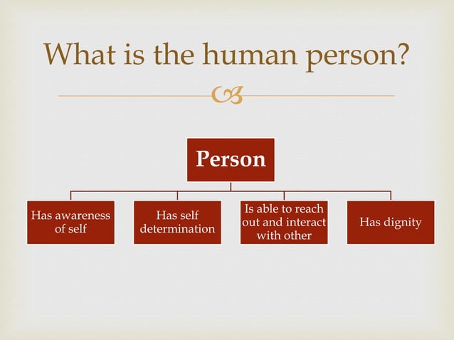 Lesson 3 the human as an embodied spirit | PPTX