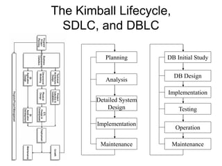 Lesson 3 - The Kimbal Lifecycle.pptx