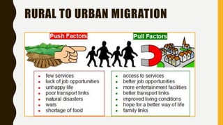 Lesson 3 Basic economic problems | PPTX