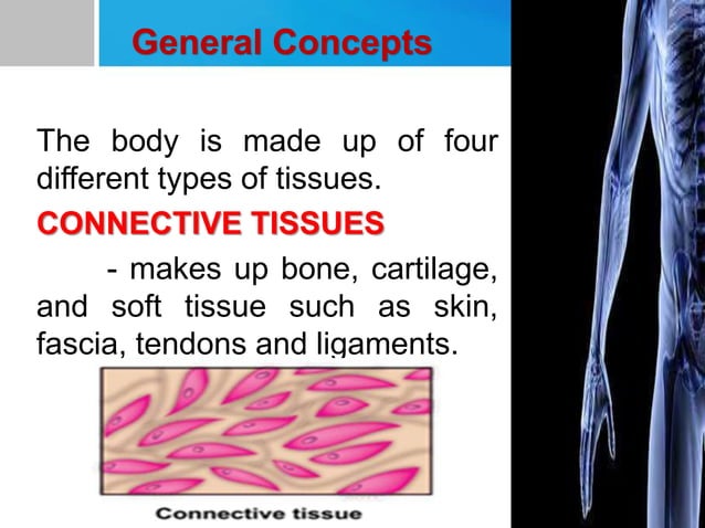 Lesson 3 (Bones).pptx