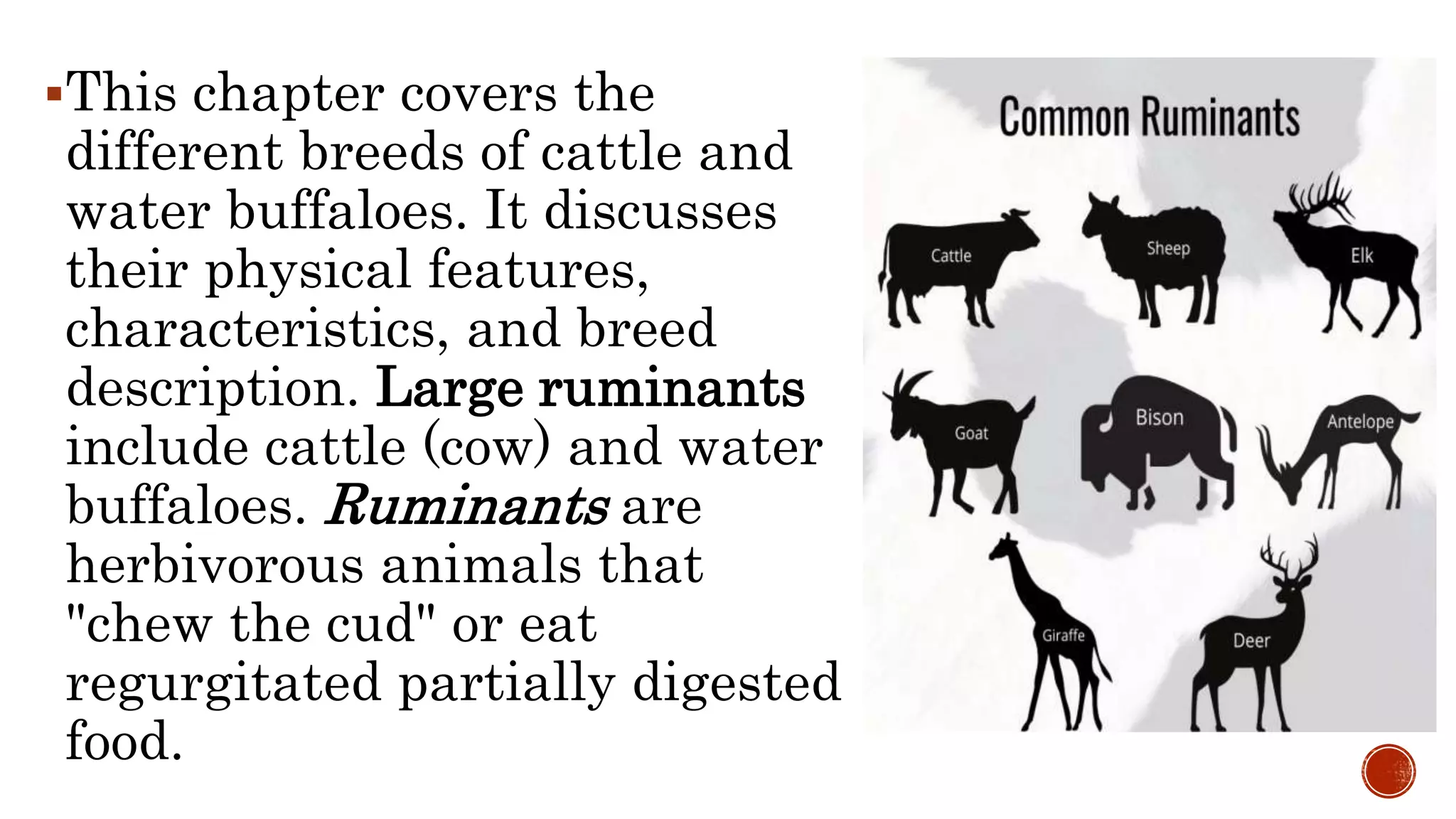 Lesson 3 BREEDS AND BREEDING OF LARGE RUMINANTS.pptx