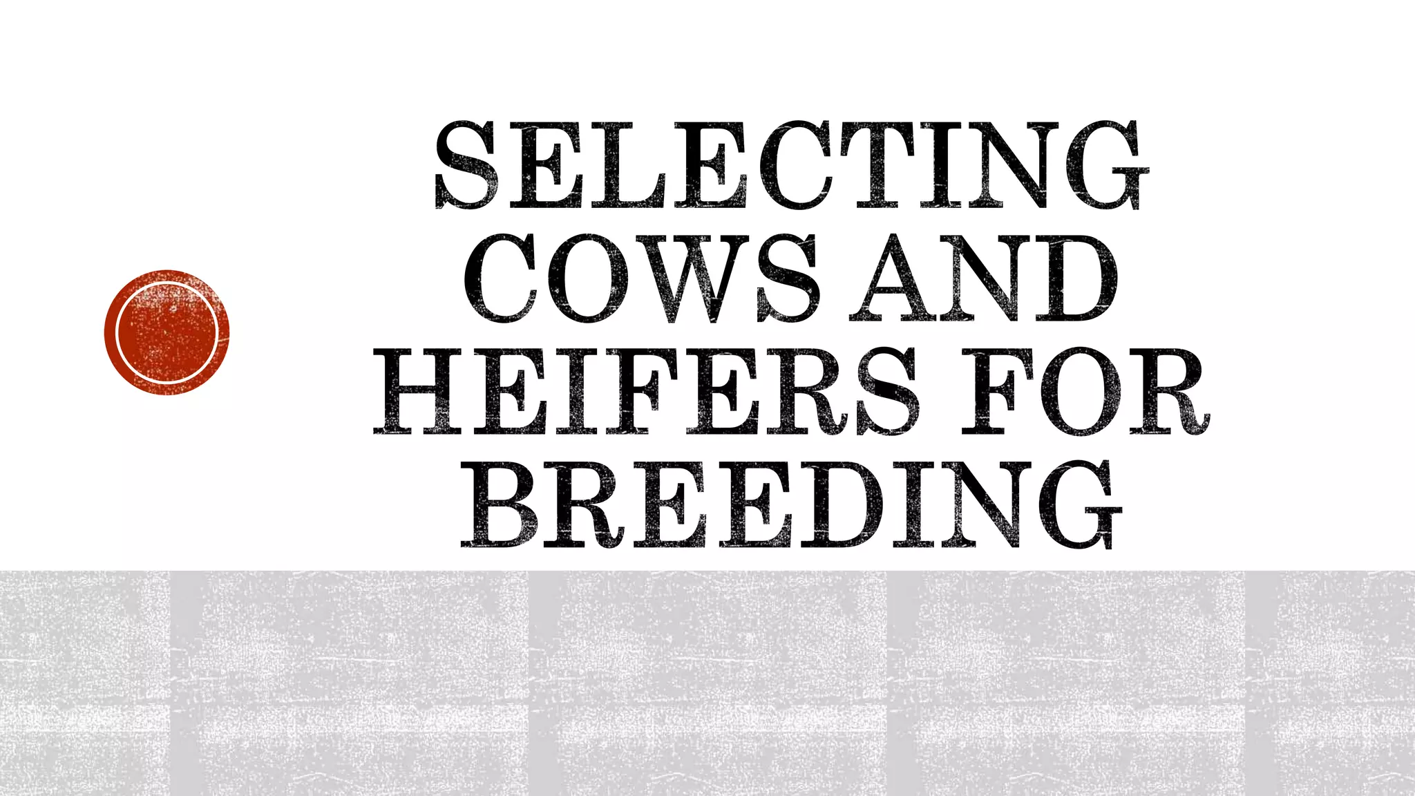 Lesson 3 BREEDS AND BREEDING OF LARGE RUMINANTS.pptx
