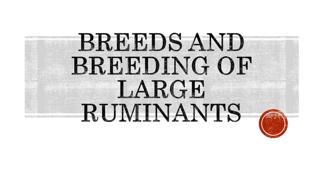 Lesson 3 BREEDS AND BREEDING OF LARGE RUMINANTS.pptx