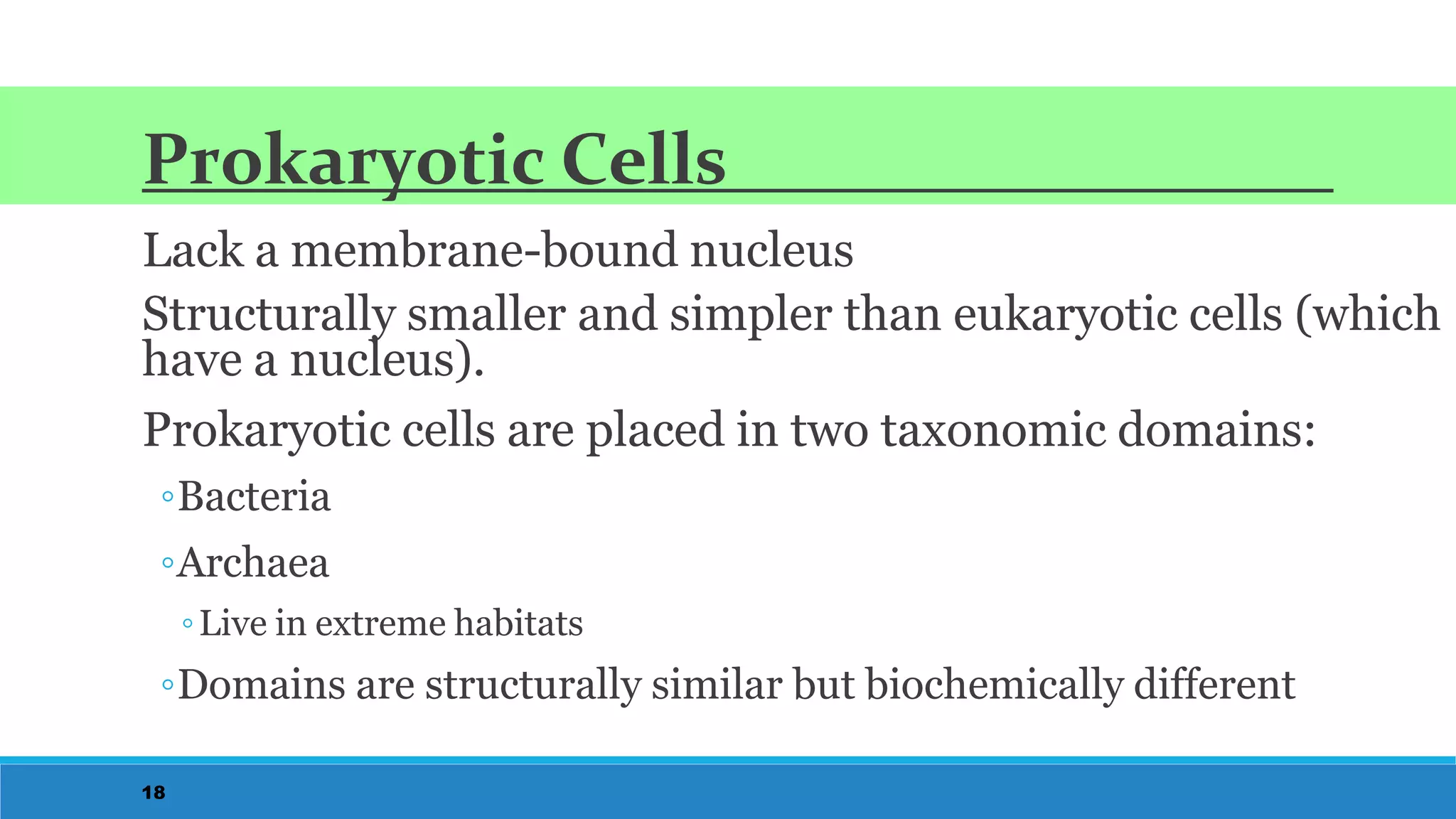 Lesson 3 CELLS (1).pptx